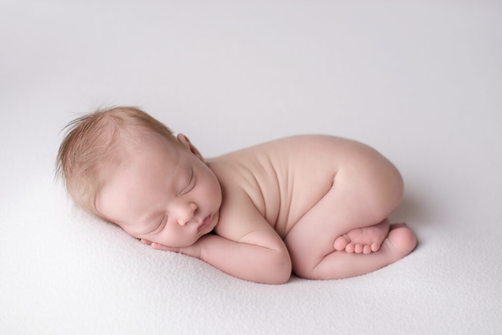 Newborn Photography Portfolio Calgary S 1 Newborn Maternity Cake